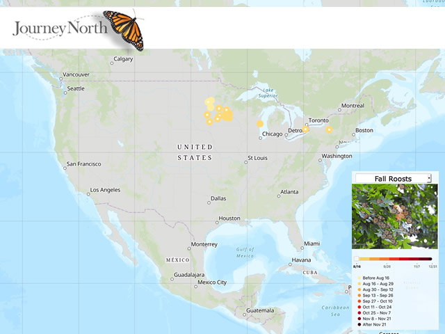 08/23/18: Fall Migration is Underway!