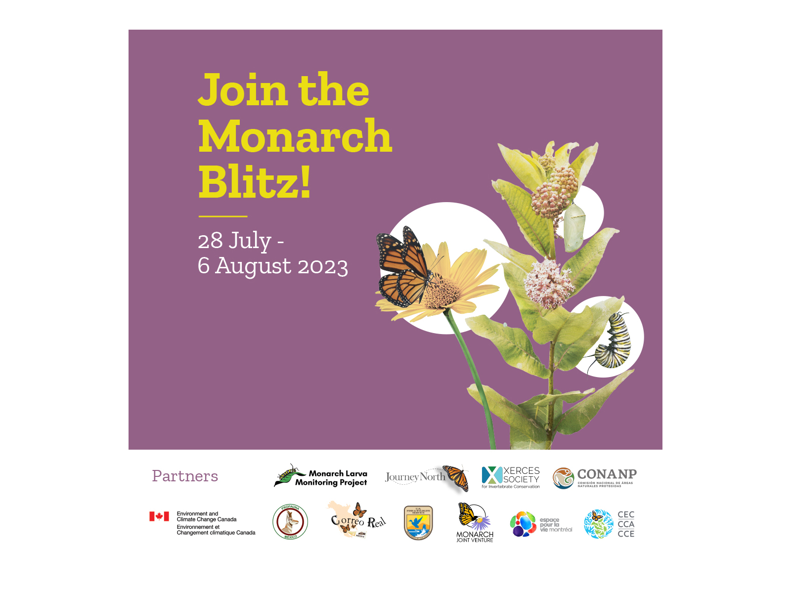 07/19/2023 Join the 2023 Monarch Blitz!