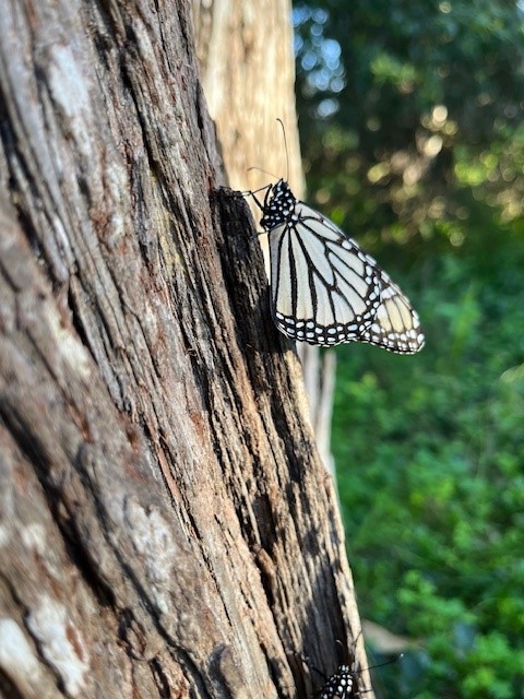 02/14/2024 Holding On